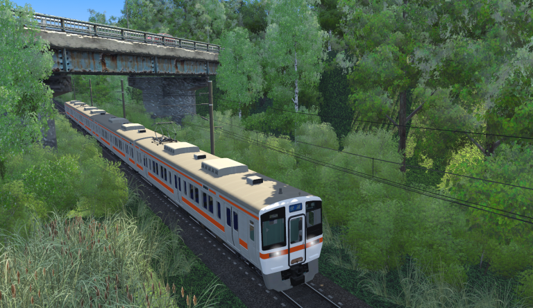 JR Central 311 Series - Socimi