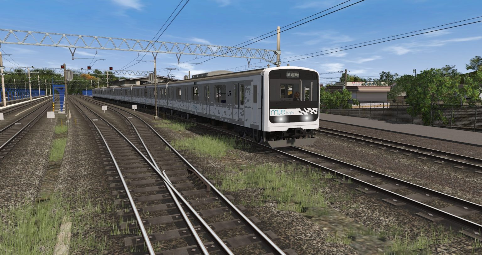 JR East 209 Series "MUE-Train" - Socimi